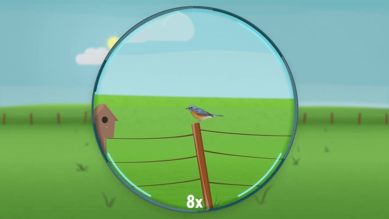 Exploring Magnification in Optics: A simple Guide